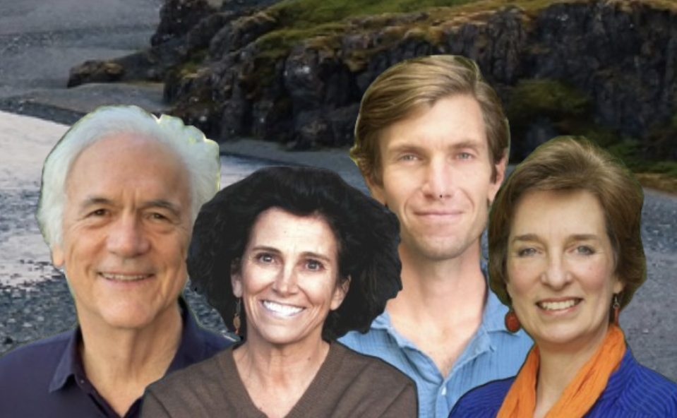 Cosmogenesis 2026 Course Endorsements - Deeptime Network
